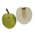 The Fruits of the Colombian Caribbean – New Worlder